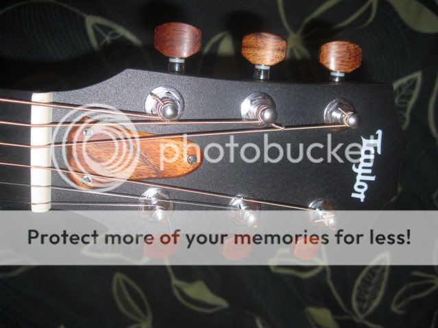 GS Mini mods - new pics - The Acoustic Guitar Forum